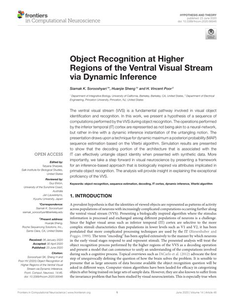 Pdf Object Recognition At Higher Regions Of The Ventral Visual Stream Via Dynamic Inference