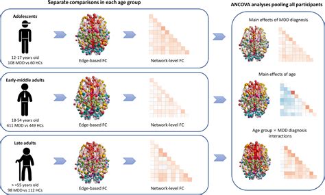 Common And Distinct Functional Brain Network Abnormalities In Adolescent Early Middle Adult