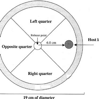 Experimental Petri Dish Arena Used For Detecting Foraging Behaviours Of