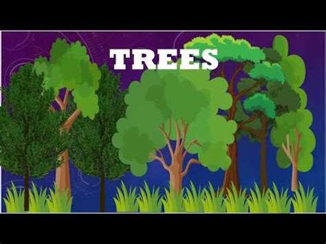 Trees Poem Recitation CBSE Class VII English YouTube