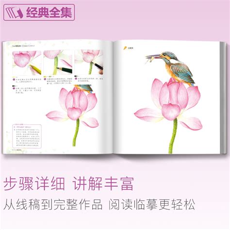 正版经典全集彩铅花鸟绘画入门教程书超写实手绘花卉植物草临摹画册花之绘成人0零基础自学教材杨建飞主编 虎窝淘