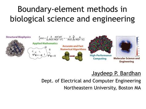 PPT Boundary Element Methods In Biological Science And Engineering PowerPoint Presentation