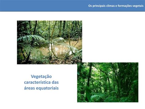 Ppt Os Principais Climas E Formações Vegetais Powerpoint Presentation