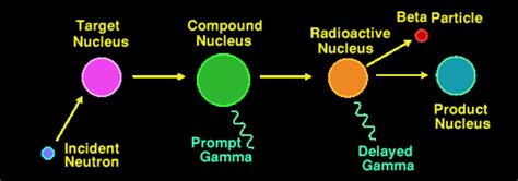 Isotope Info Isotope Info