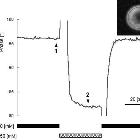 Principle Of The Decoupling Procedure Comparison Of The Phase Signal Download Scientific