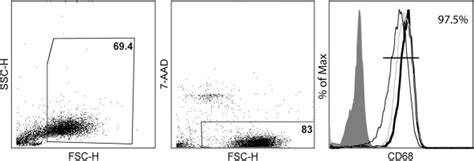 Characterization Of Monocyte Derived Macrophages Monocytes Were