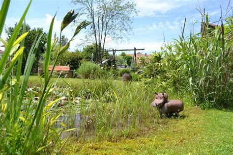 Activités Variées Dans Le District De Porrentruy Pour La Fête De La Nature