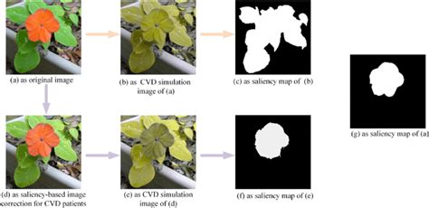 Saliency Detection Results After Cvd Simulation For A Standard Image