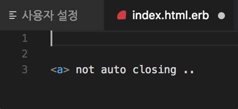 VSCODE How To Auto Closing Html Code Of Ruby On Rails Html Erb File