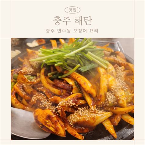 충주 해탄 오징어볶음 충주 연수동 맛집 네이버 블로그