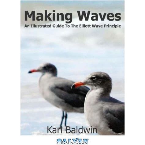 خرید و قیمت دانلود کتاب Making Waves An Illustrated Guide To The