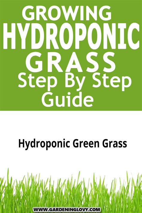 How To Grow Hydroponic Grass At Home In Just 9 Steps Artofit