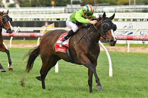 Henry Dwyer Has Snitty Kitty In The Lightning At Doomben Racing And