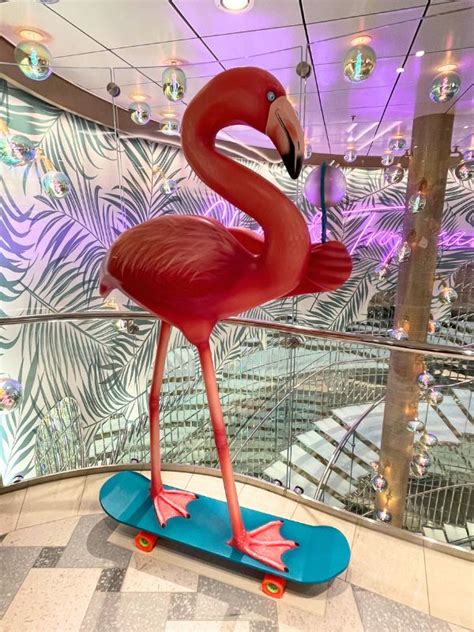 Pink Flamingos On A Cruise Ship Can Have A Secret Meaning And You Need