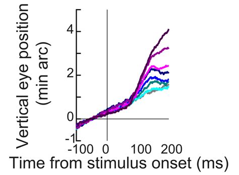 Methods And Science At The 32nd Annual Oculomotor Meeting Mütüzü