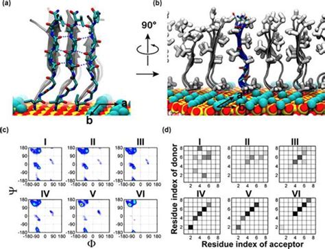 Self Assembling Peptide Biomaterials Insights From Spontaneous And Enhanced Sampling Molecular