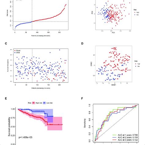 Sirna Mediated Knockdown Of Dclk1 Reduces Emt Factor Expression