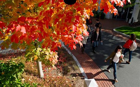 Northeastern University On Behance