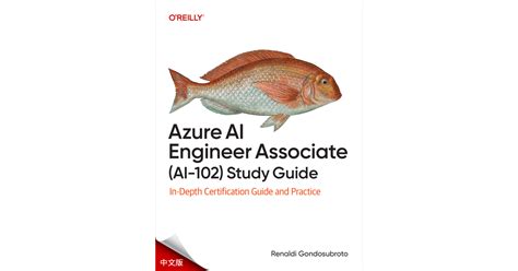 3存储、解释和可视化数据 Azure Ai工程师助理（ai 102）学习指南 Book