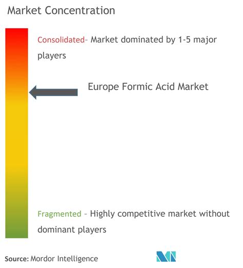 Europe Formic Acid Market Size And Share Analysis Industry Research