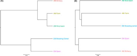 a upgma dendrogram constructed with fst values from microsatellite data