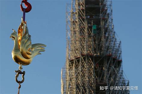 耗资760万美元的巴黎圣母院修复工程 知乎