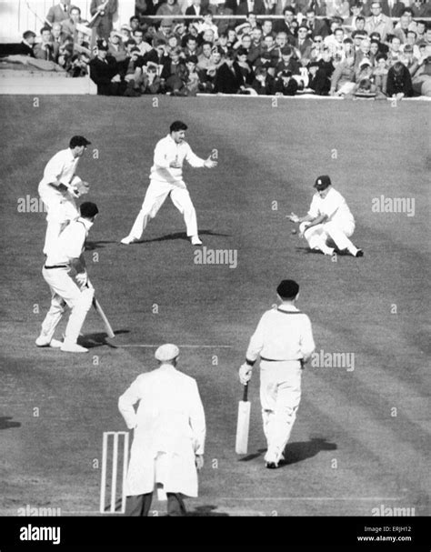 Australian Cricket Tour Of England For The Ashes England V Australia
