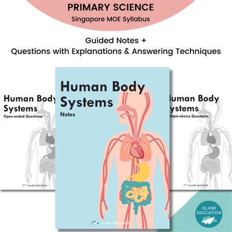 Primary 3456 Science Guided Notes And Questions Human Body Systems