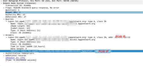 Dns Role In S8 Home Routing Roaming Nick Vs Networking