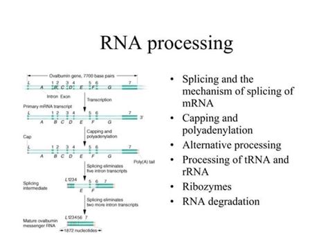 Post Transcriptional Modification Pptx Chemistry Science