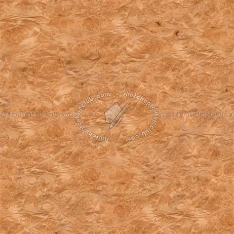 Maple Burl Medium Color Texture Seamless 04486