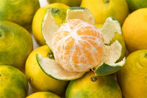 귤 귤 사진 무료 다운로드 Lovepik 귤 귤 사진 무료 다운로드 Lovepik
