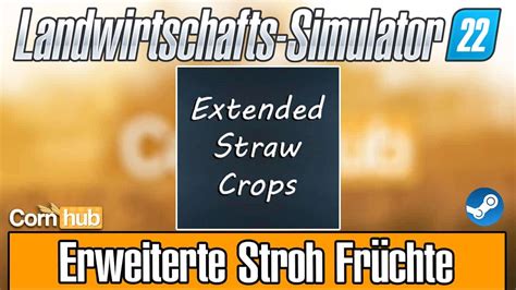 LS22 Erweiterte Stroh Früchte CornHub