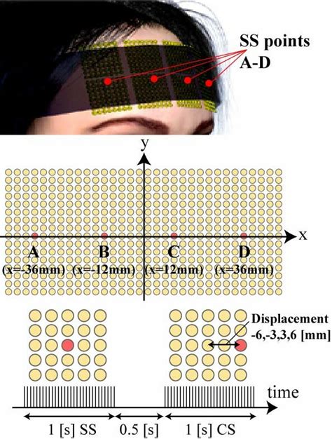 Two Point Discrimination Test Setup Download Scientific Diagram
