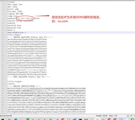 实现异地组网：openvpn服务器与客户端配置指南 哔哩哔哩