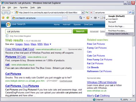 Search In IE7 Project Cerbera