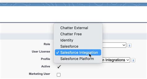 Free Salesforce Integration User License Now Available Technical Potpourri From Sudipta Deb