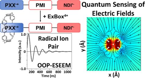 Quantum Sensing Of Electric Fields Using Spin Correlated Radical Ion
