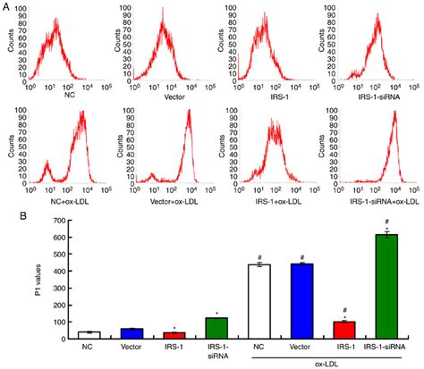 Intracellular Ros Production In An Ec Model Of Ox Ldl Induced