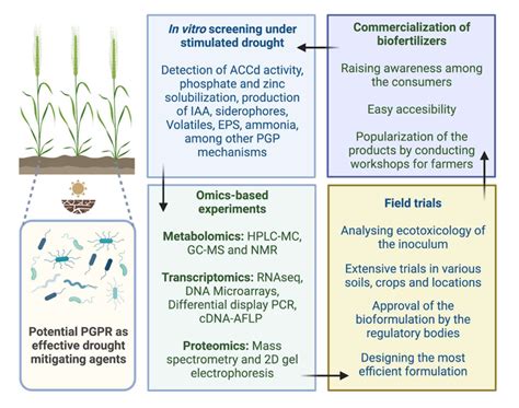 Proposed Routes For Efficient Development And Commercialization Of Download Scientific Diagram