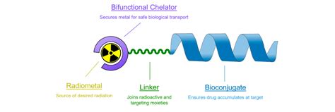 Radionuclide Drug Conjugates Rdc A New Star In Precision Medicine