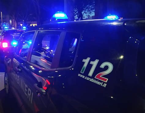 Gesturi 60enne Ubriaco Crea Scompiglio Con Due Cani Senza Guinzaglio