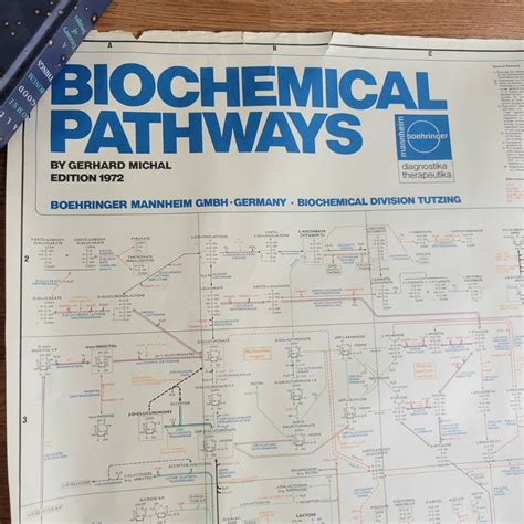 Vintage 1972 Biochemical Pathways Map Poster Gerhard Michal 4562688694