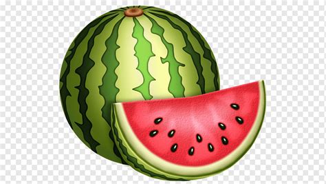 Watermelon Fruit Drawing Cartoon Watermelon Food Melon Superfood
