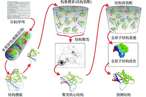 Flowchart Of I Tasser Method For Protein Structure Prediction