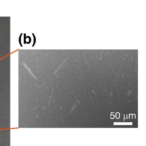 Fabrication And Characterization Of Shape Memory Polymer Smp