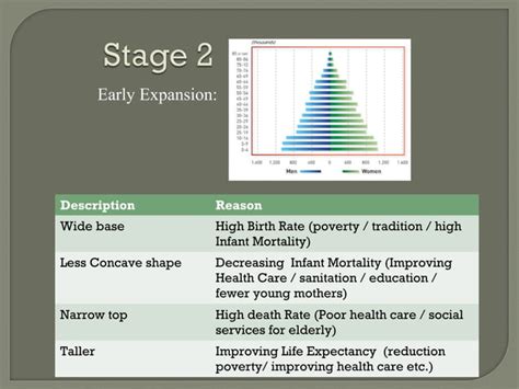 Population Structure Models For Igcse Geography Ppt