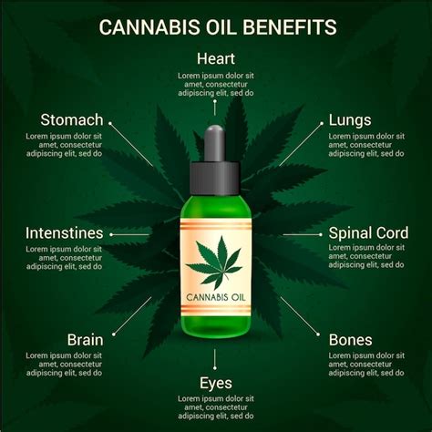 Free Vector Cannabis Oil Benefits Infographic
