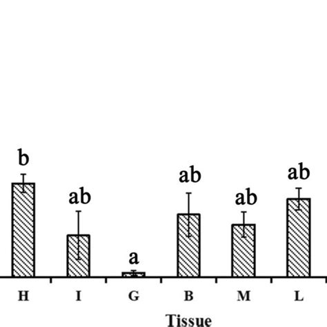 Rt Qpcr Analysis Of Per2 Gene Expression In Different Organizations Of