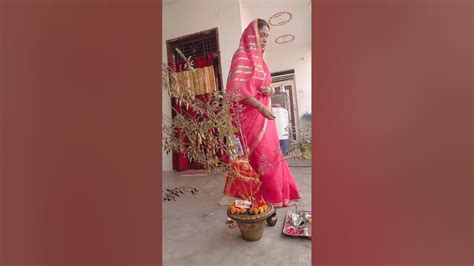 Tulsi Maiya Suno Tum Meri Prathna 🙏 Shortsvideo Youtubeshorts New